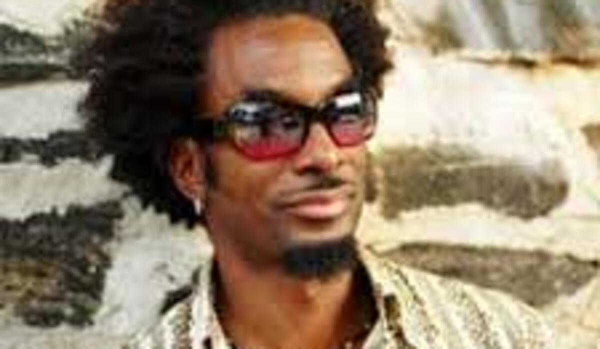 WBSS Media-Amp Fiddler