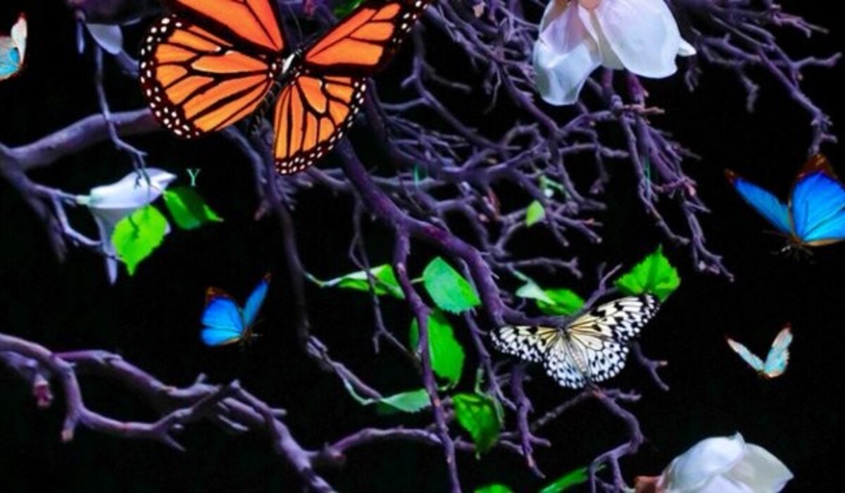 WBSS Media-STREAMSUNDAY.EMERGINGTALENT: XYDO shares his second EP, "CYCLE".